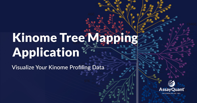 Kinome Tree Mapping Application | AssayQuant